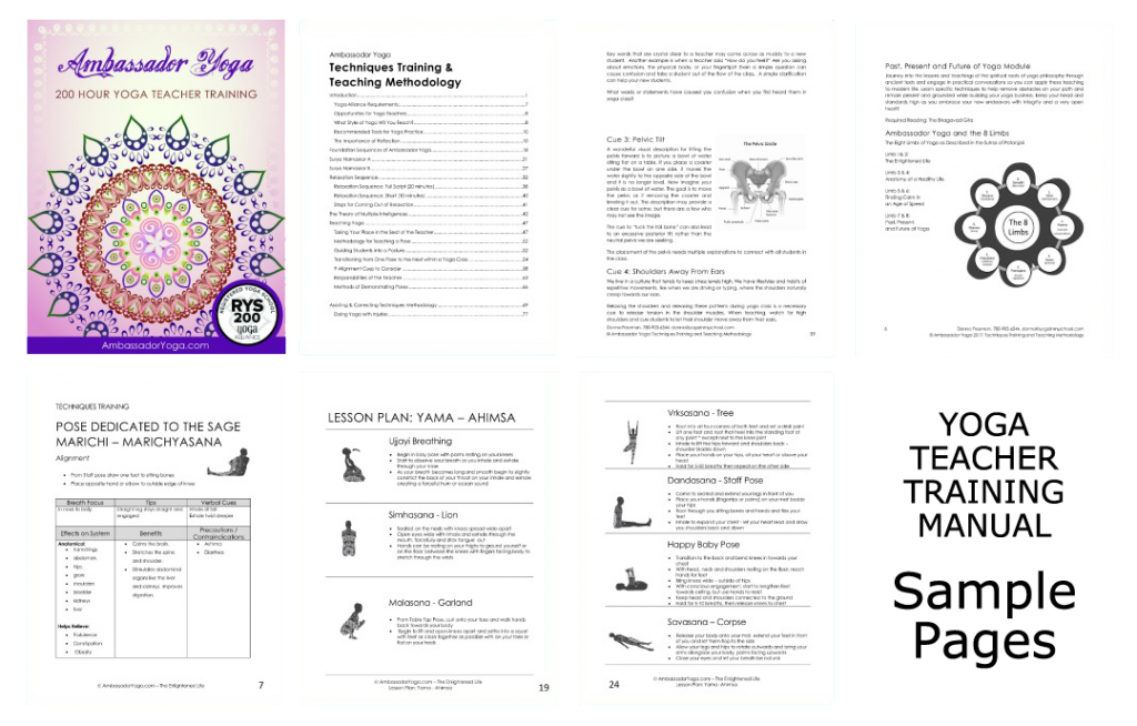 Yoga Teacher Training | Mindful Movements Studio